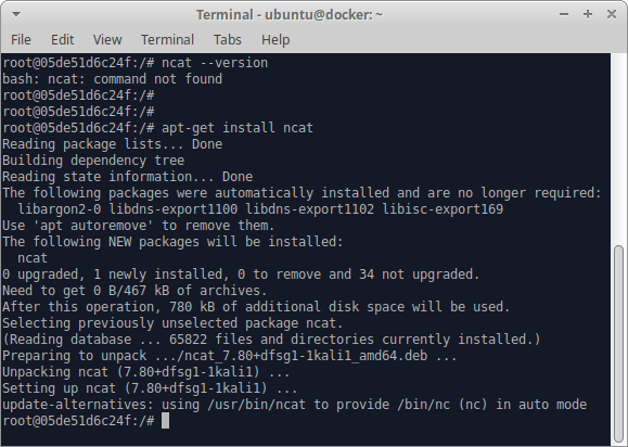 Tales From The Red Team: Deploying Kali in Containers in Your Cloud