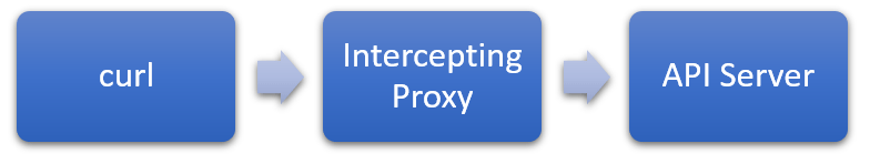 How To Prepare for an API Pentest – Curl